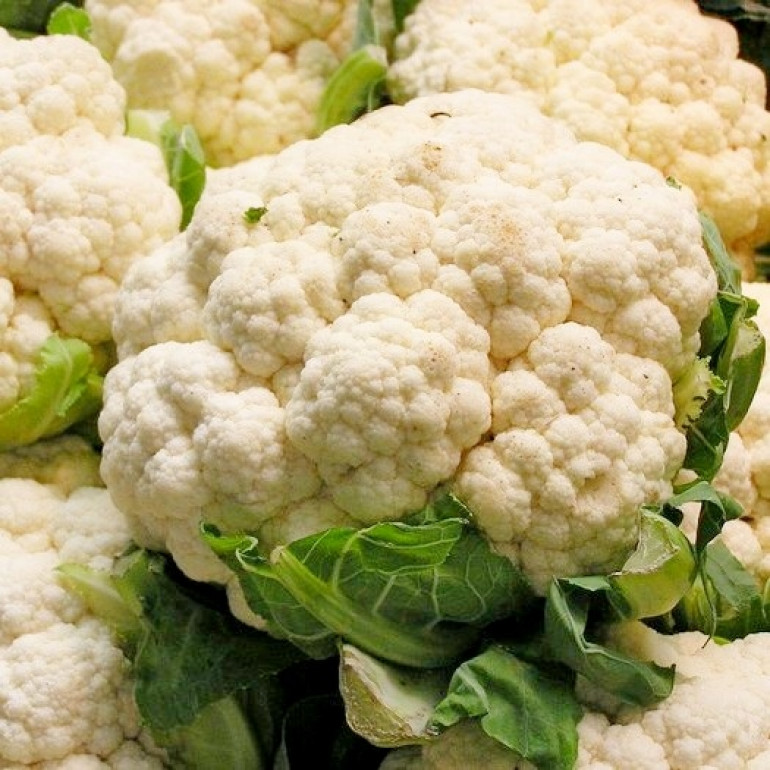 Kalafior (Brassica oleracea var.botrytis) - wygląd, wymagania, warunki ...