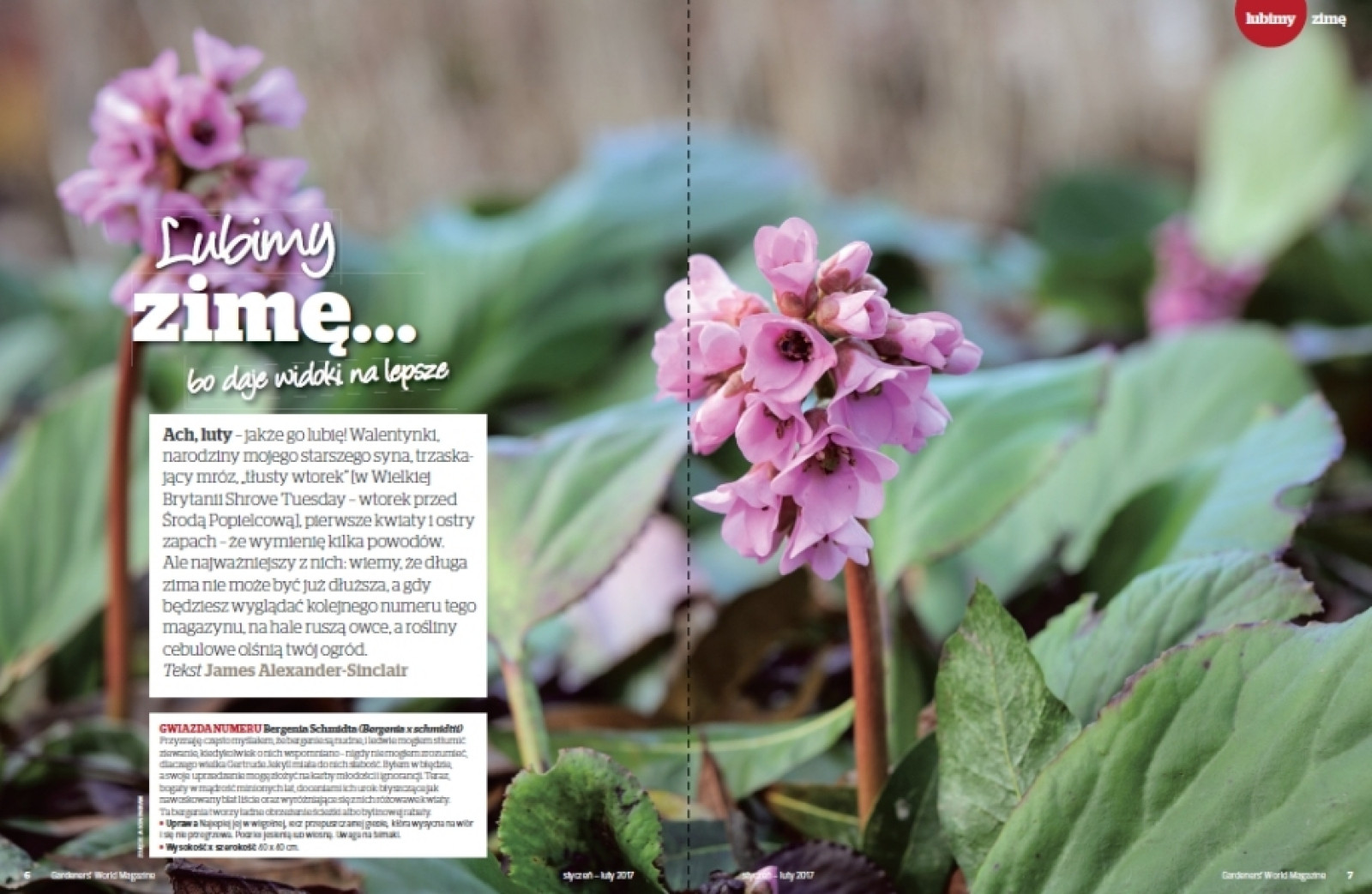 Lubimy zimę: Bo daje widoki na lepsze – Gardeners` World Polska