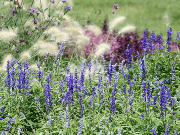 Romantyczna rabata w stylu prowansalskim