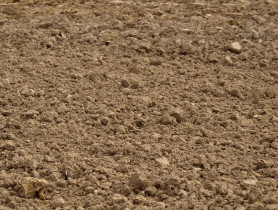 Gleba – Słownik ogrodniczy | Zielony Ogródek