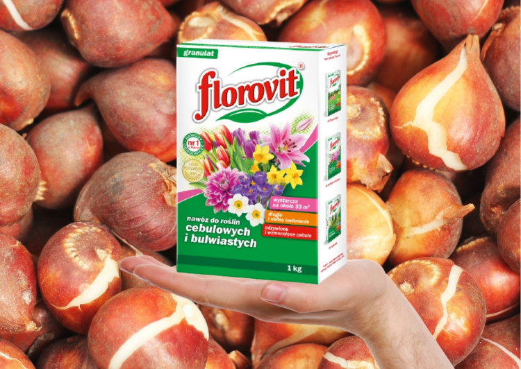 Nawóz do roślin cebulowych i bulwiastych | 5 powodów, by go stosować! – Aktualności ogrodnicze