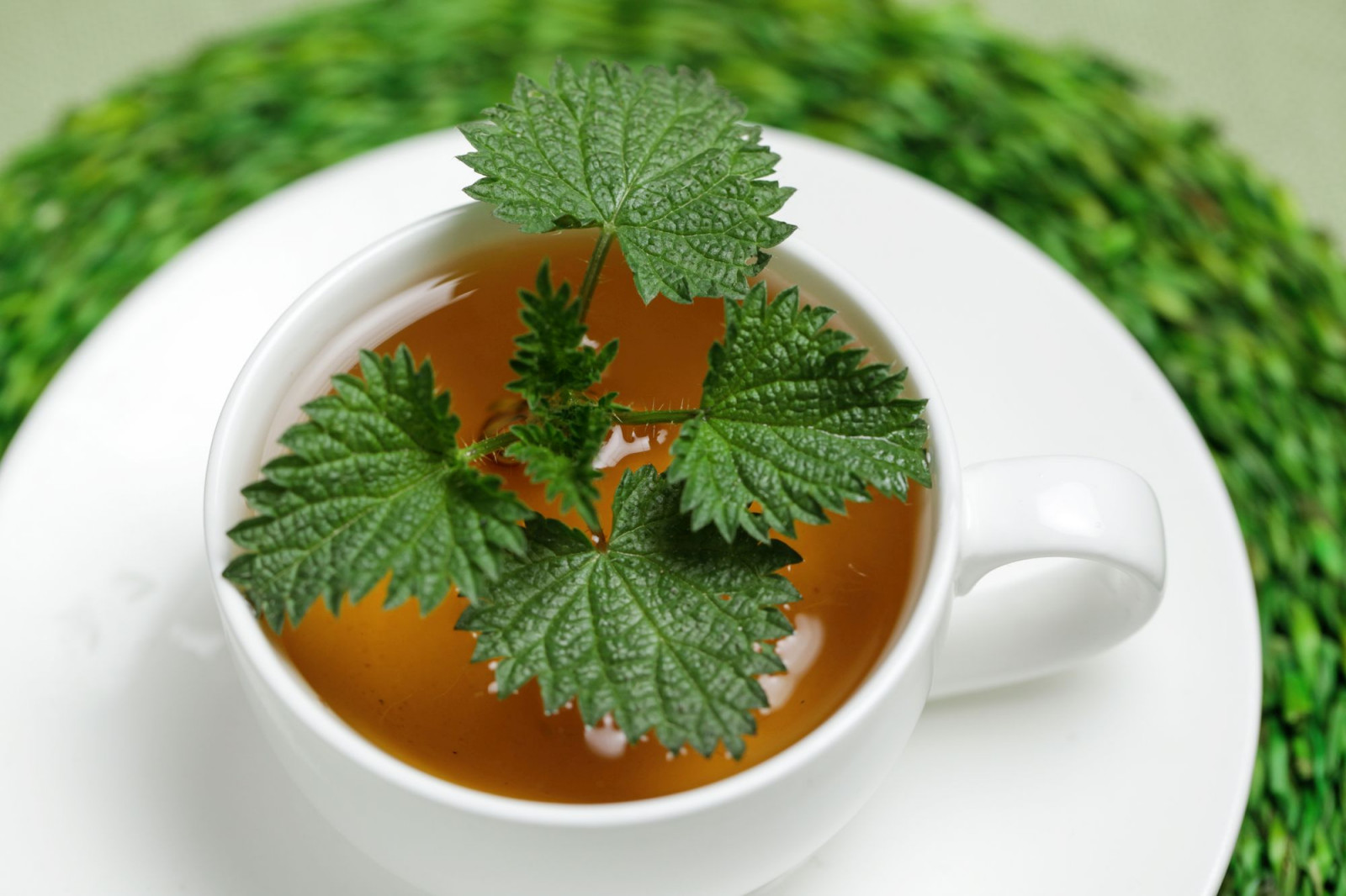 Przepis na napar z pokrzywy | Działanie i właściwości zdrowotne