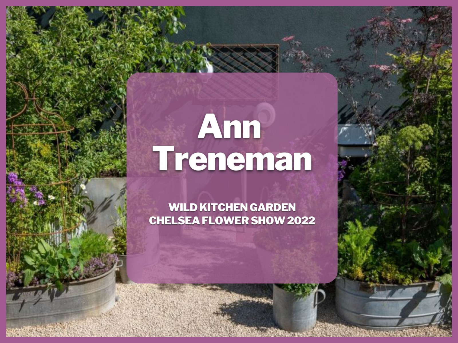 "Wild Kitchen Garden" Ann Treneman z Chelsea Flower Show 2022 – Wizyta ...