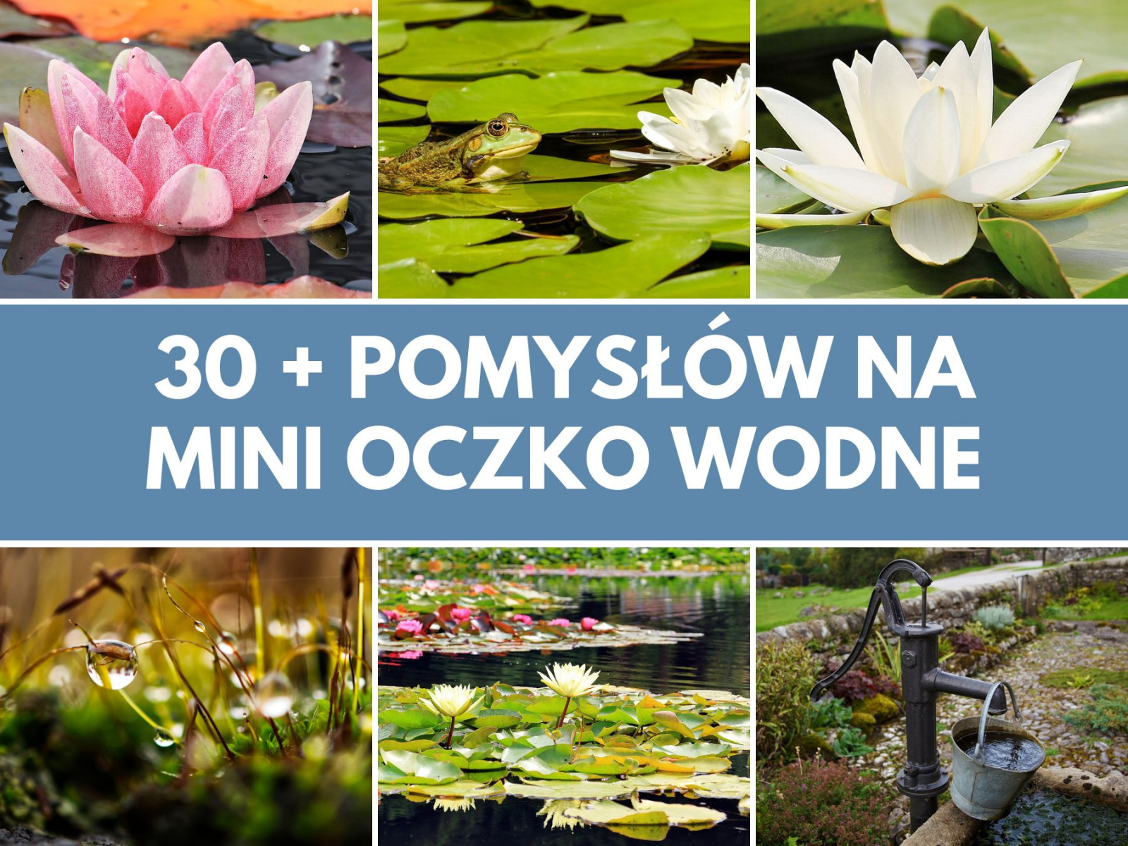 Jak zrobić mini oczko wodne? | Pomysły, inspiracje, patenty!