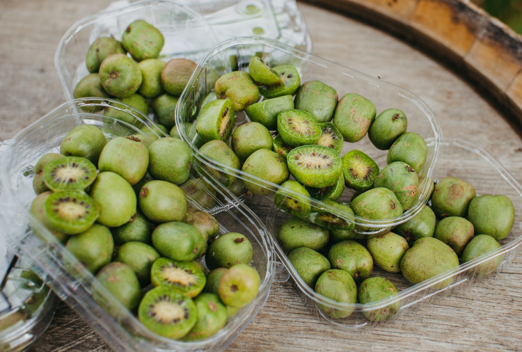 Minikiwi, Kiwiberry – co to za owoc? Czy warto kupić? Czy warto ...