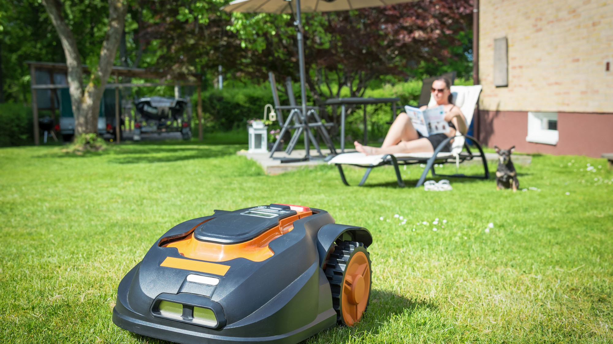 Smart garden: jak inteligentne technologie zmienią Twój ogród?