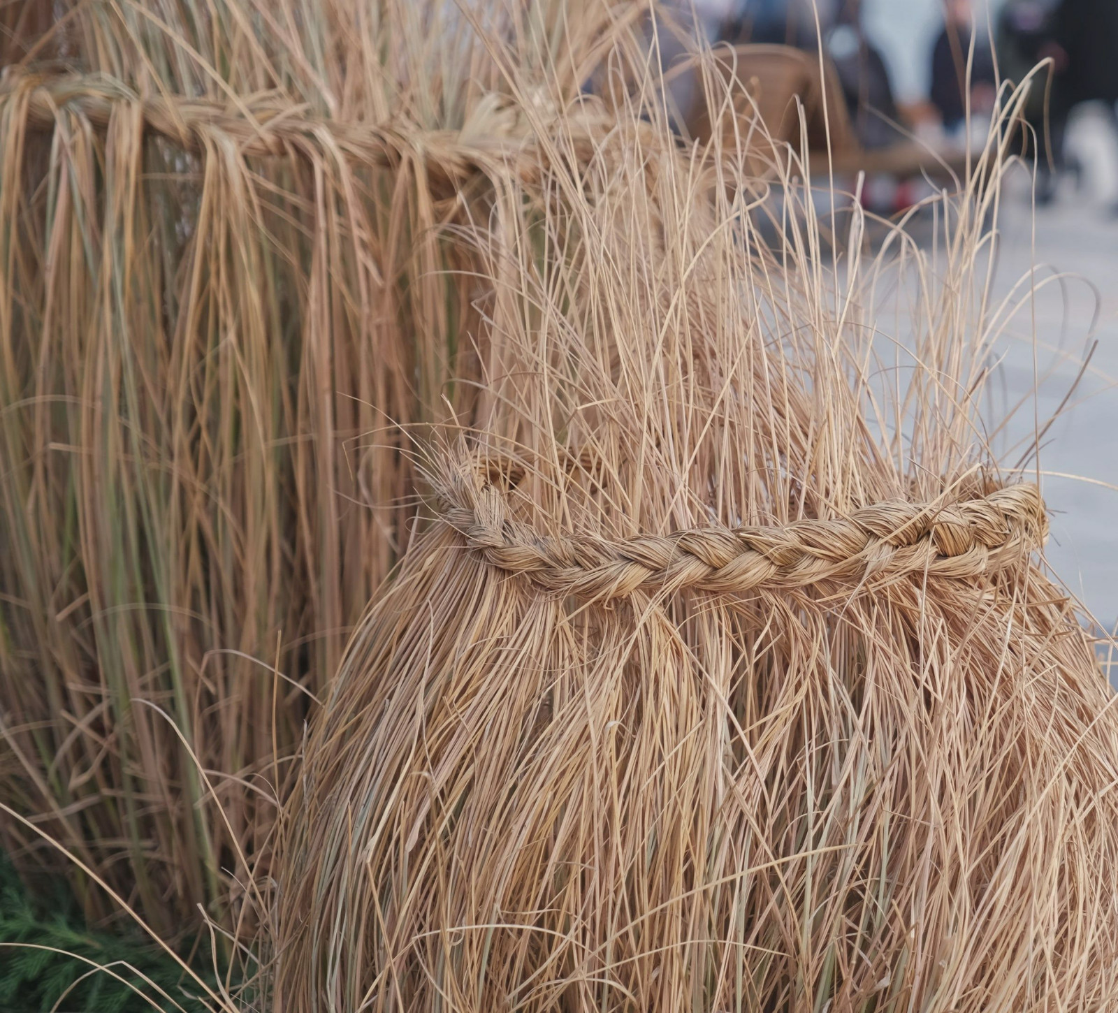 Kitki, warkocze i snopki. Te trawy ozdobne aż proszą się o związanie