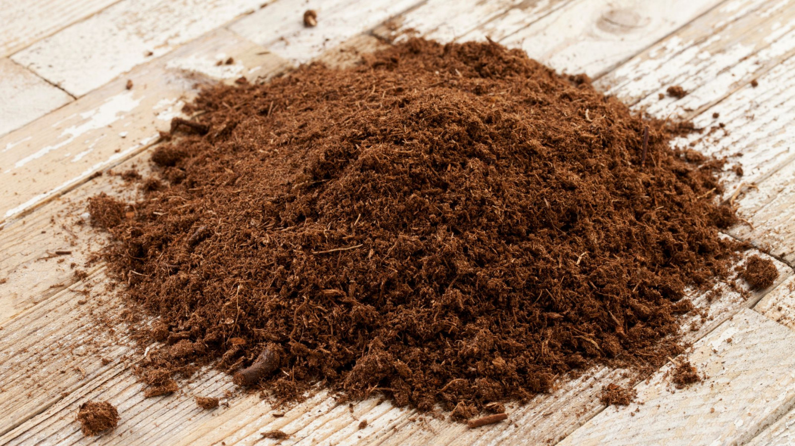 Torf wysoki czy niski? Który jest lepszy w ogrodnictwie?
